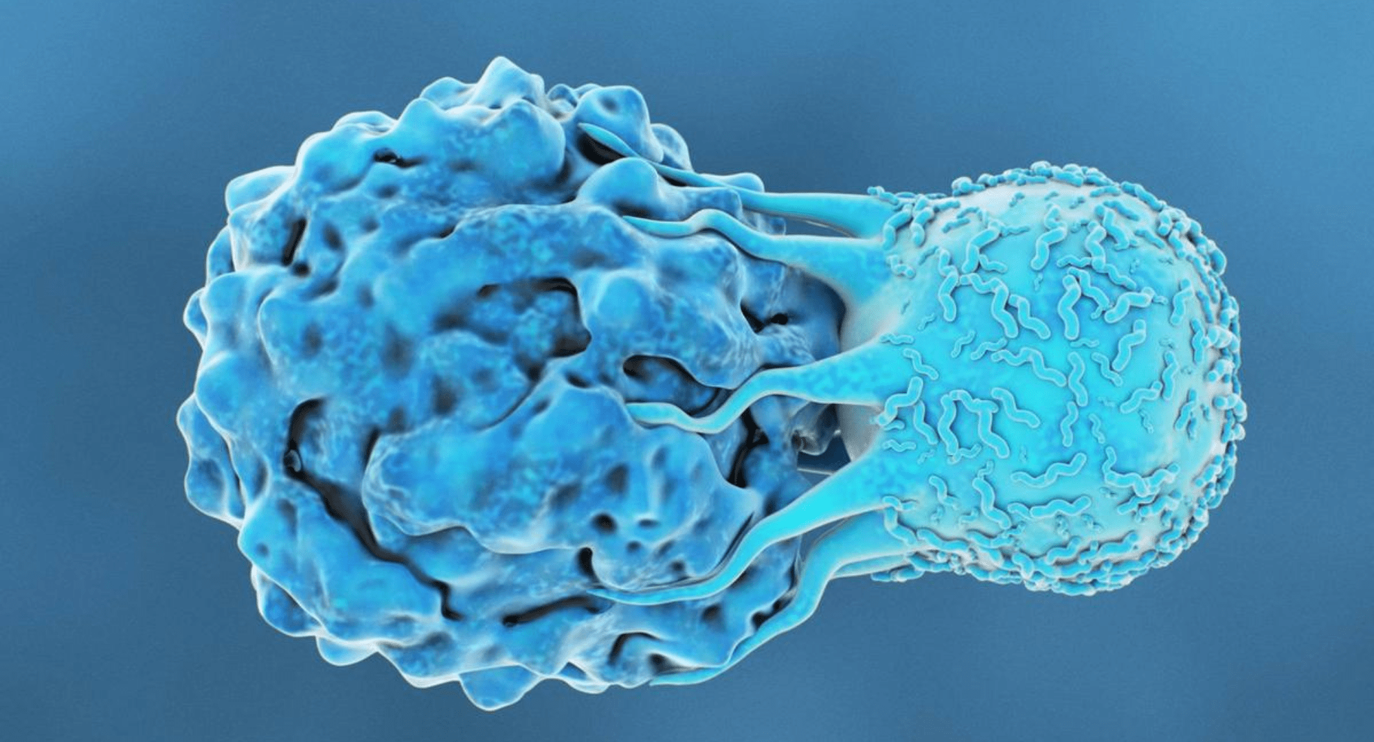 Product – Ldspharma